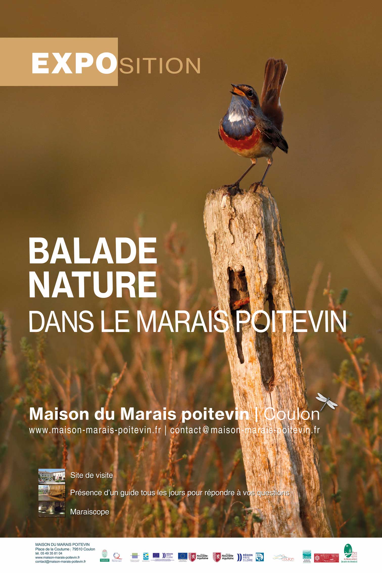 Agenda du Marais Poitevin - Parc naturel régional du Marais poitevin